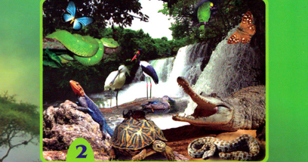 «Afrika hayvonot olami 2»