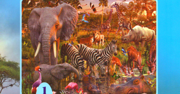 «Afrika hayvonot olami»