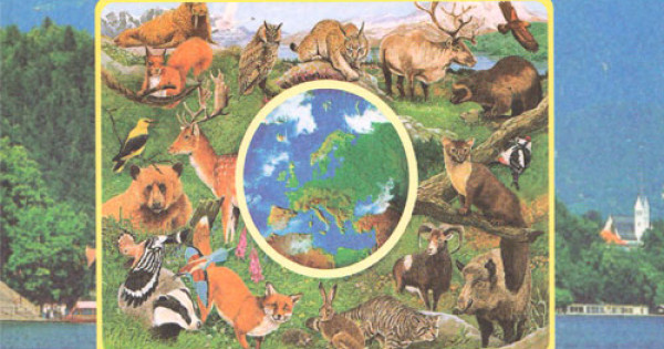 «Yevropa hayvonot olami»