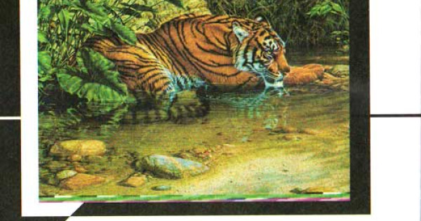 «Йўлбарсдаранинг сўнгги султони»